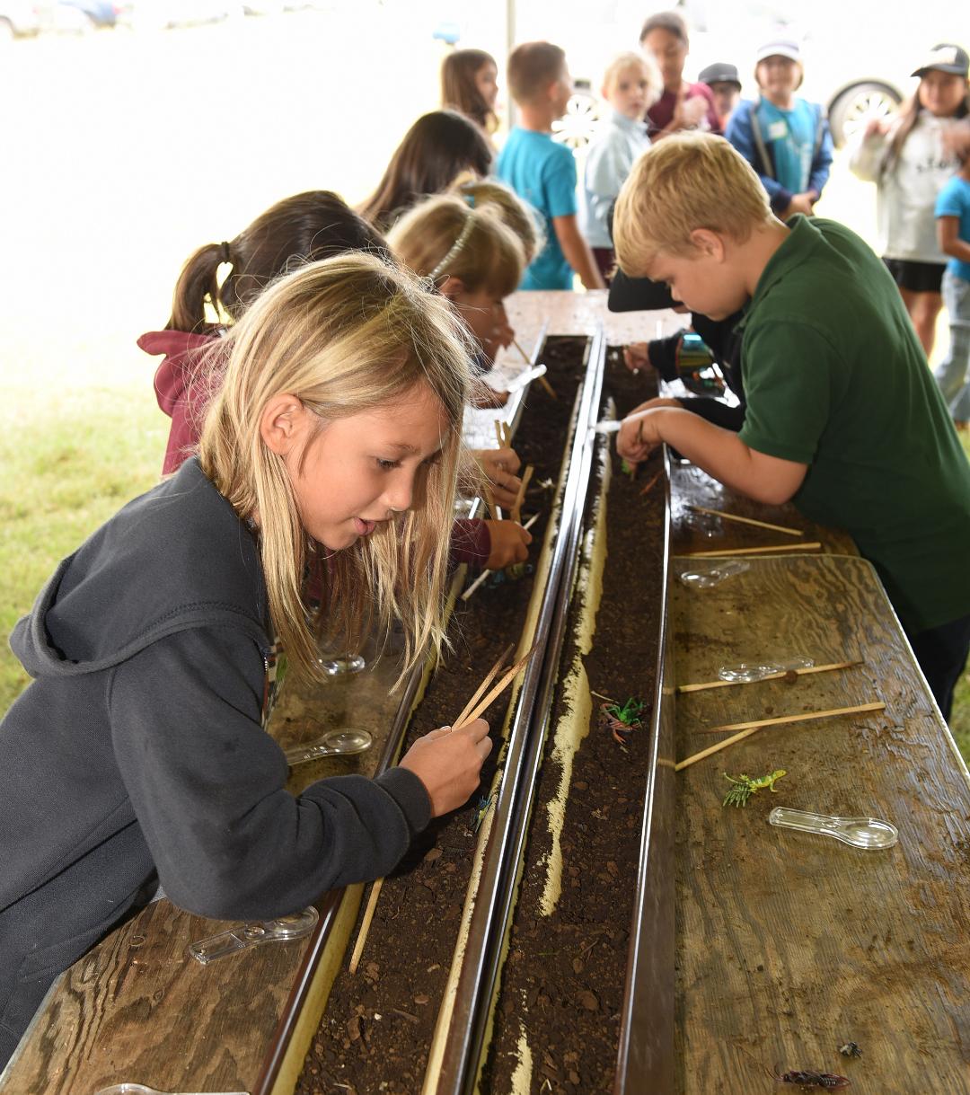 Ag in the Classroom event brings 1,000 children Upcountry for day of ...